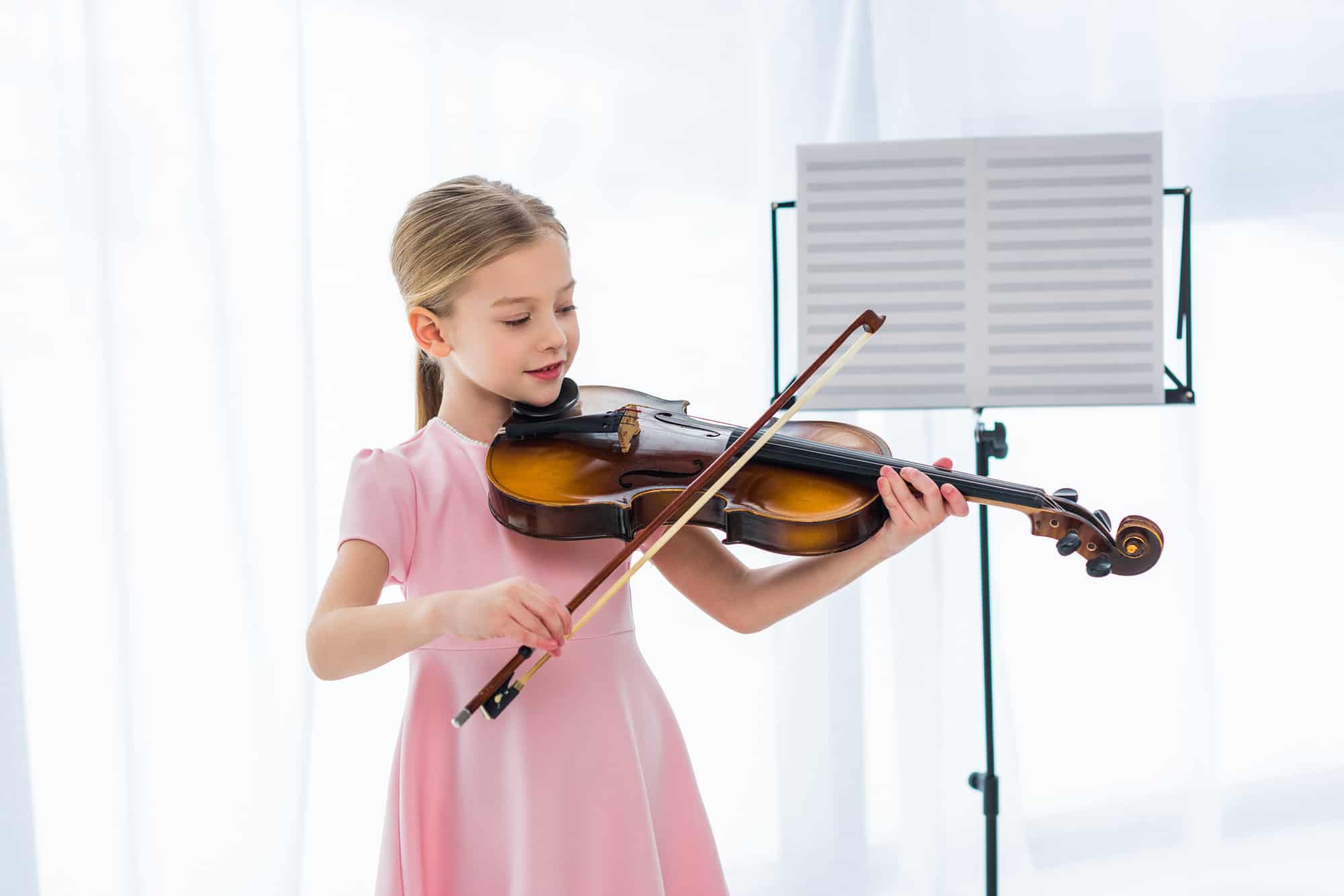 13 Best Student Violins Reviews (2022)